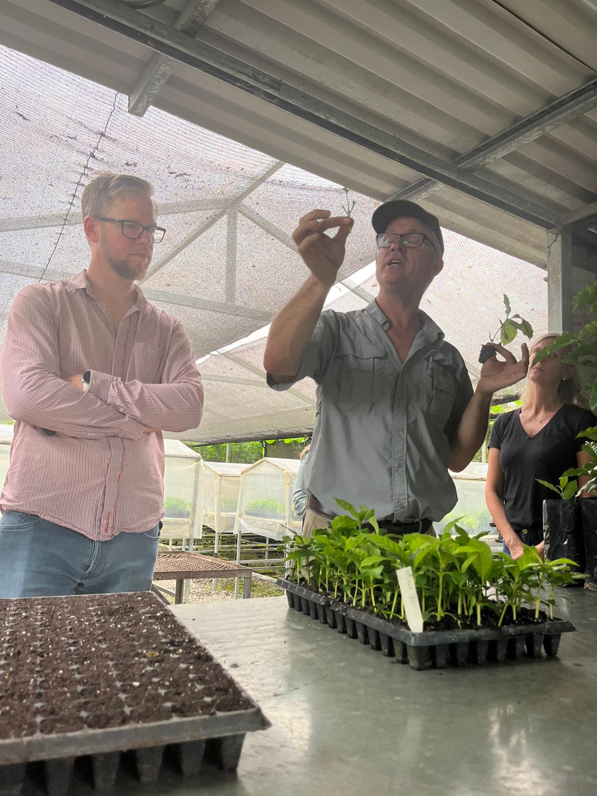 Coffee Breeding Network for Long-term Coffee Supplies - Tchibo