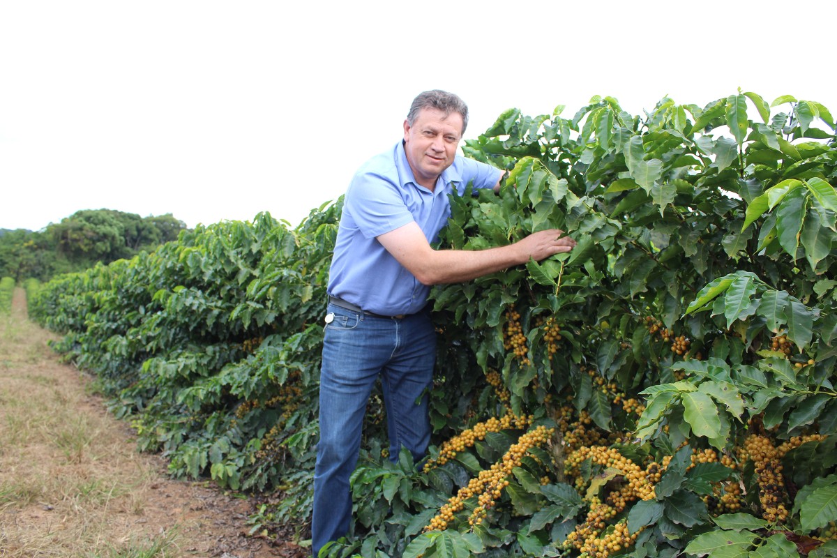 Samba in der Tasse - Die Rarität No.1 Ipanema Arara Brazil - Tchibo