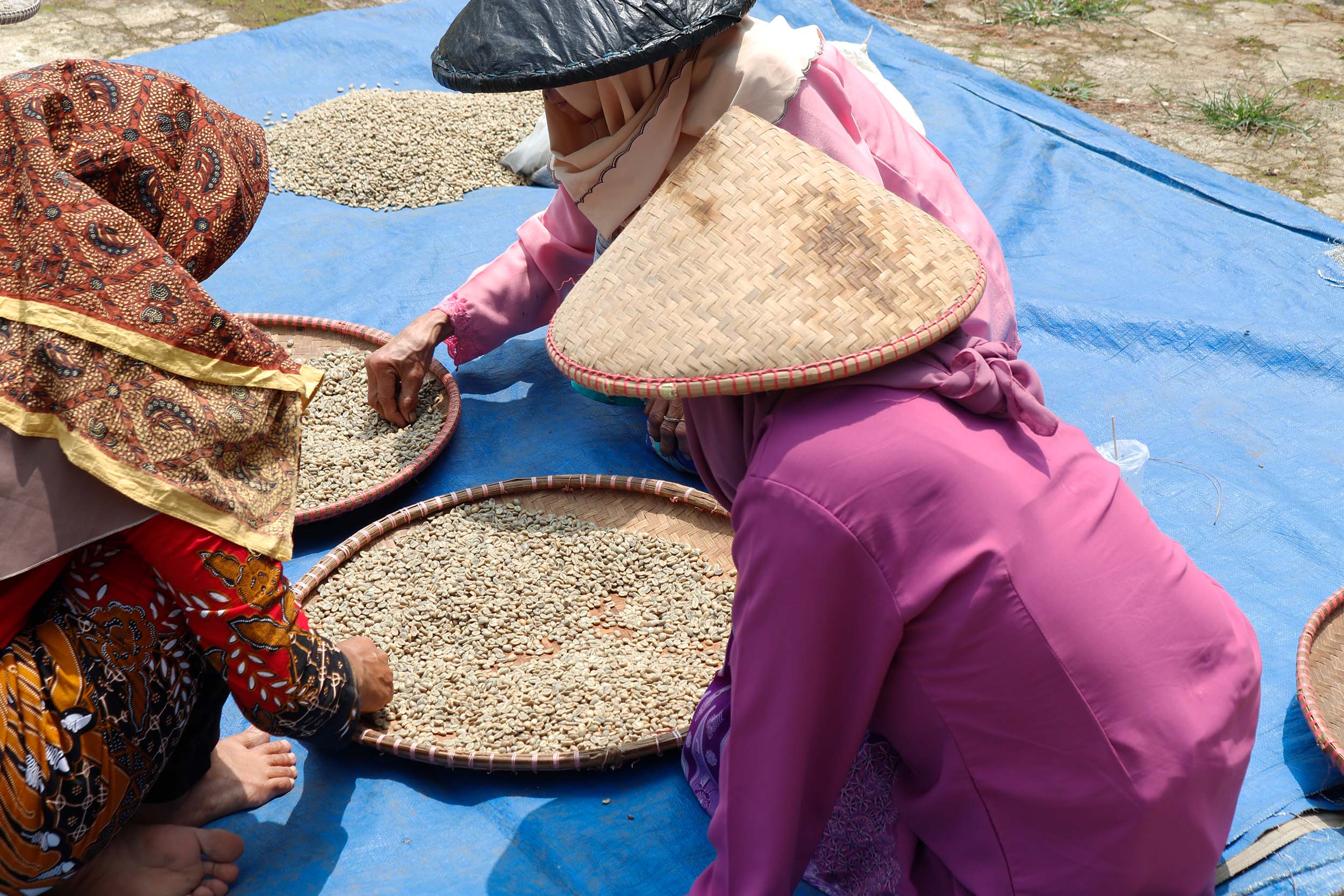 „Java-lich“ ein Genuss: Die Rarität Pada Maju Indonesia von der Insel ...