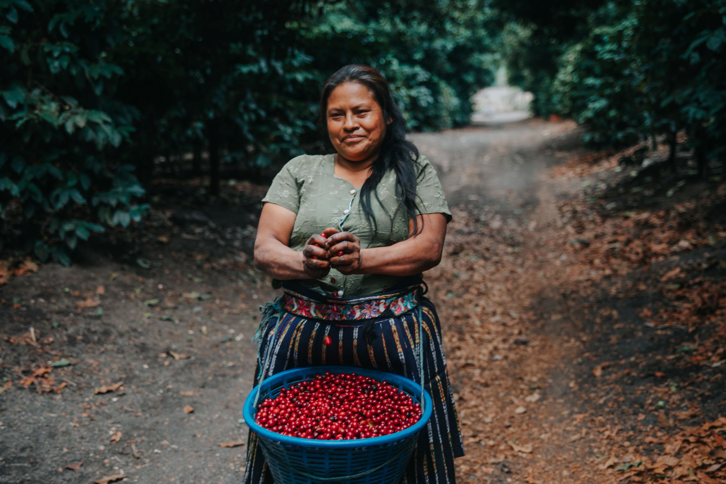 Wir haben es wieder getan ... - Tchibo